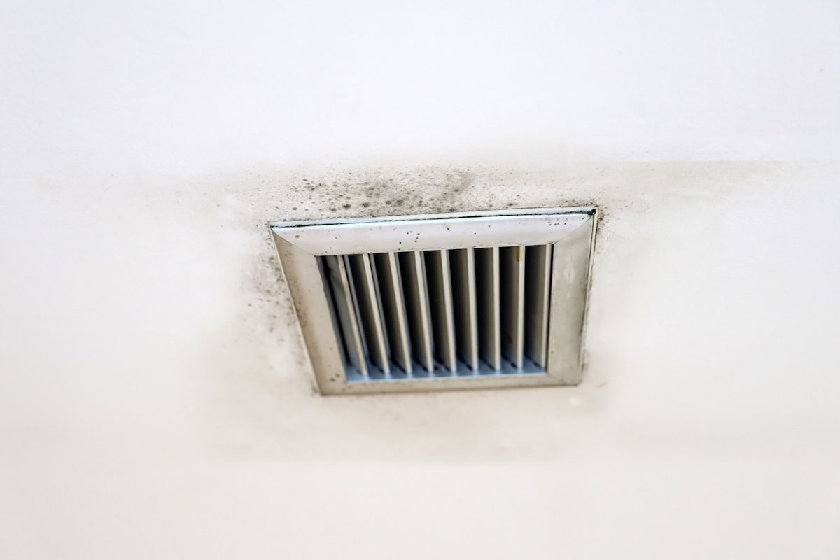 How To Deal With Mold In Air Ducts (8 Safest Ways)